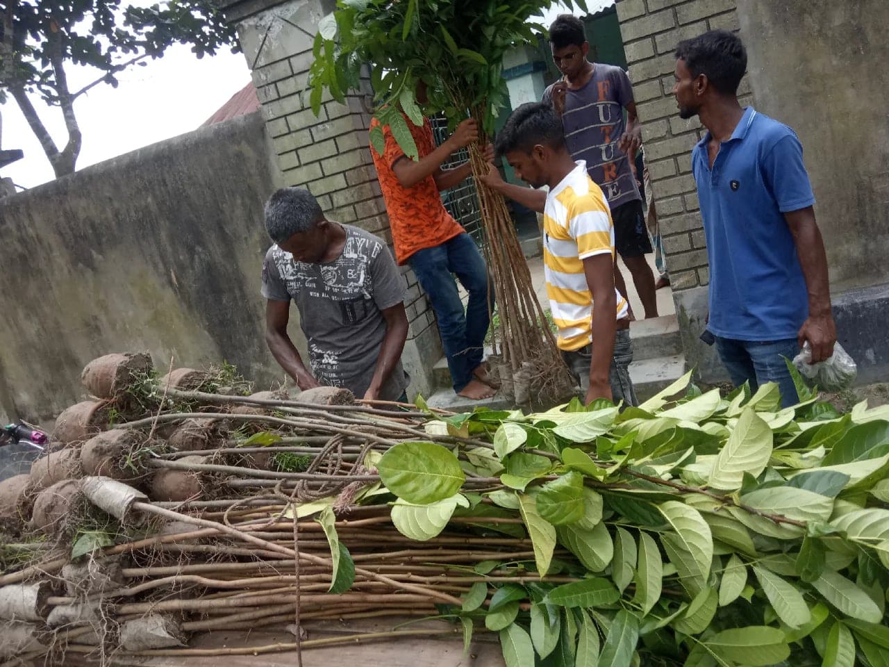 Tree Plantation Project 2021 - Mercy Financials